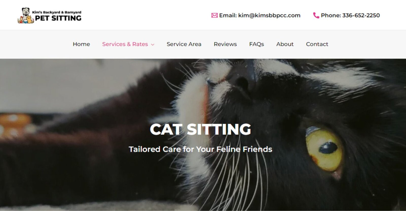 Cat Sitting | Feline Friendly Visits