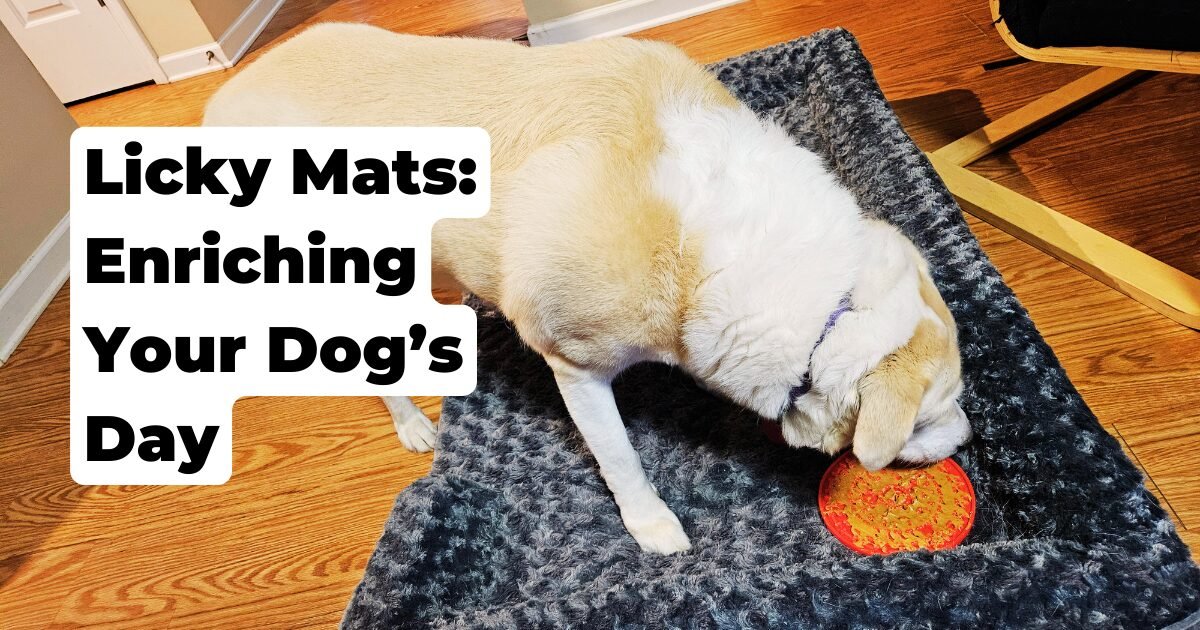 Licky Mats: Enriching Your Dog's Day